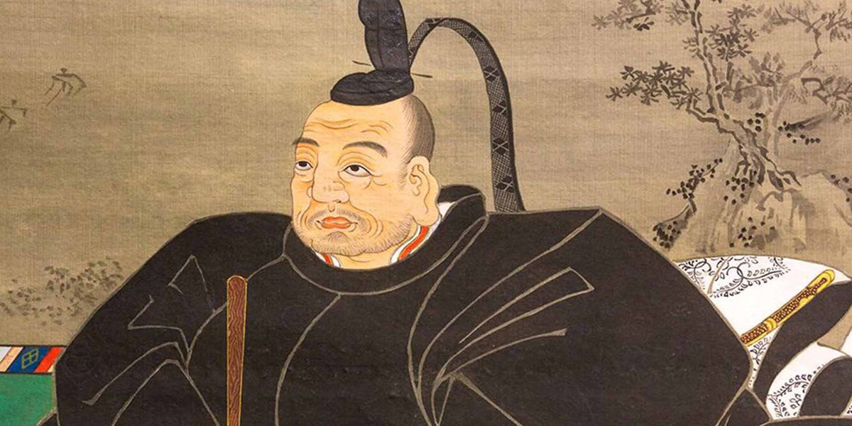 Beyond the Legends: The Real Reason for Tokugawa Ieyasu's Death ...
